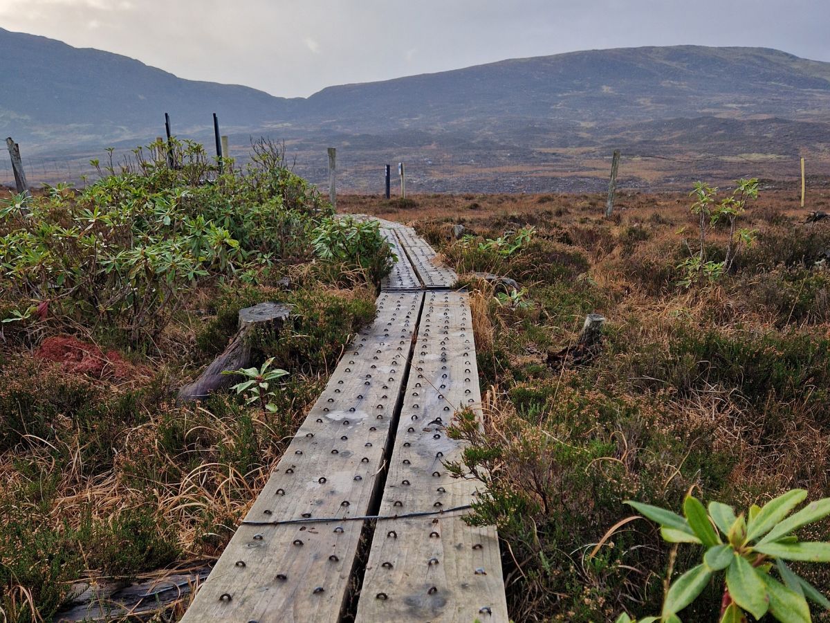 Walking in Wild Nephin National Park: Walks for Every Adventurer ...